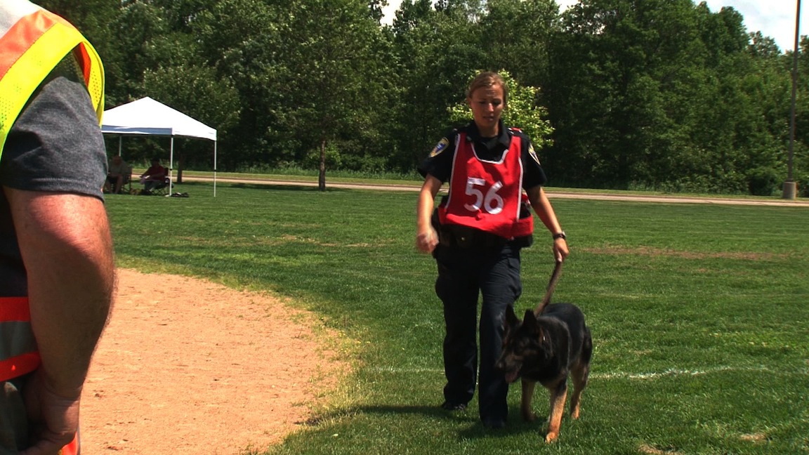 Four-legged officers trained to take a bite out of crime - Lakeland PBS