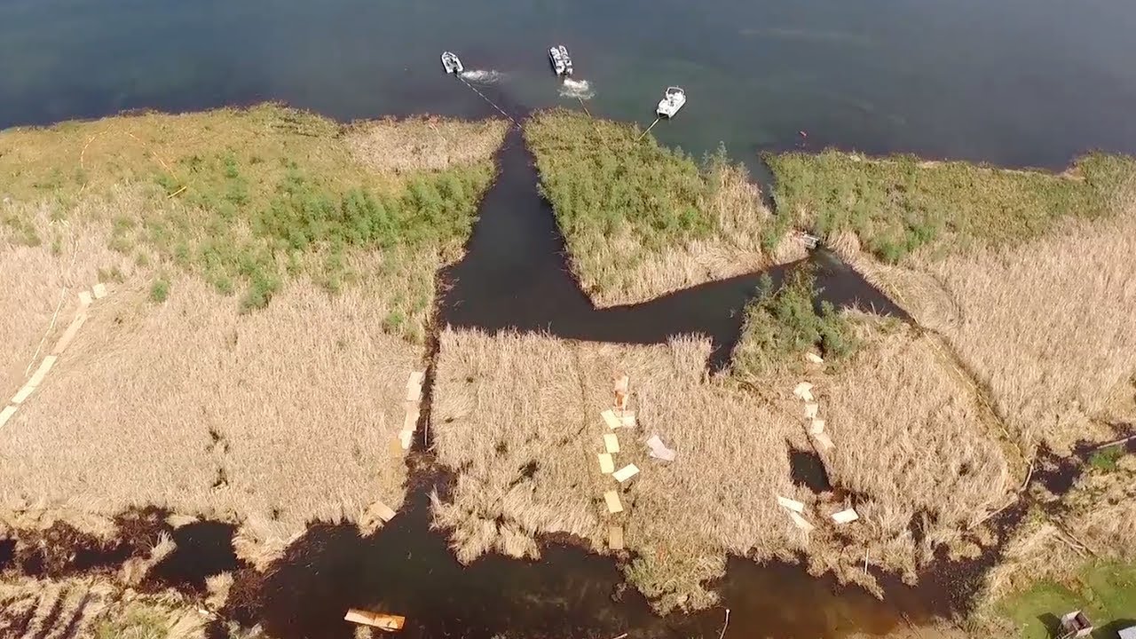 Floating Bog Continues To Put Up A Fight - Lakeland PBS