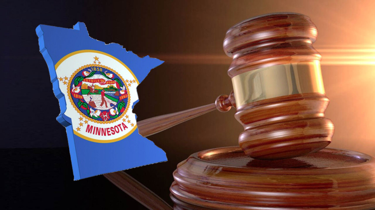 New MN Congressional and Legislative District Maps Released - Lakeland PBS