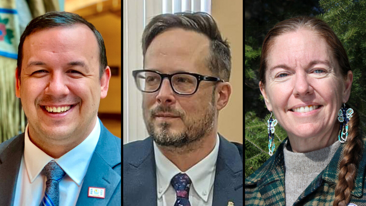 DFL Candidates Endorsed for Seats in Newly Formed District 2 - Lakeland PBS