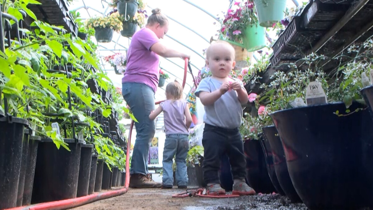 Country Sunshine Farm in Brainerd Growing More Than Flowers - Lakeland PBS