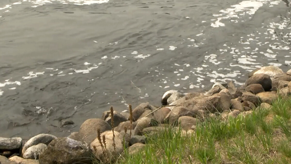 Public Input Sought on Crow Wing River Comprehensive Watershed Plan ...