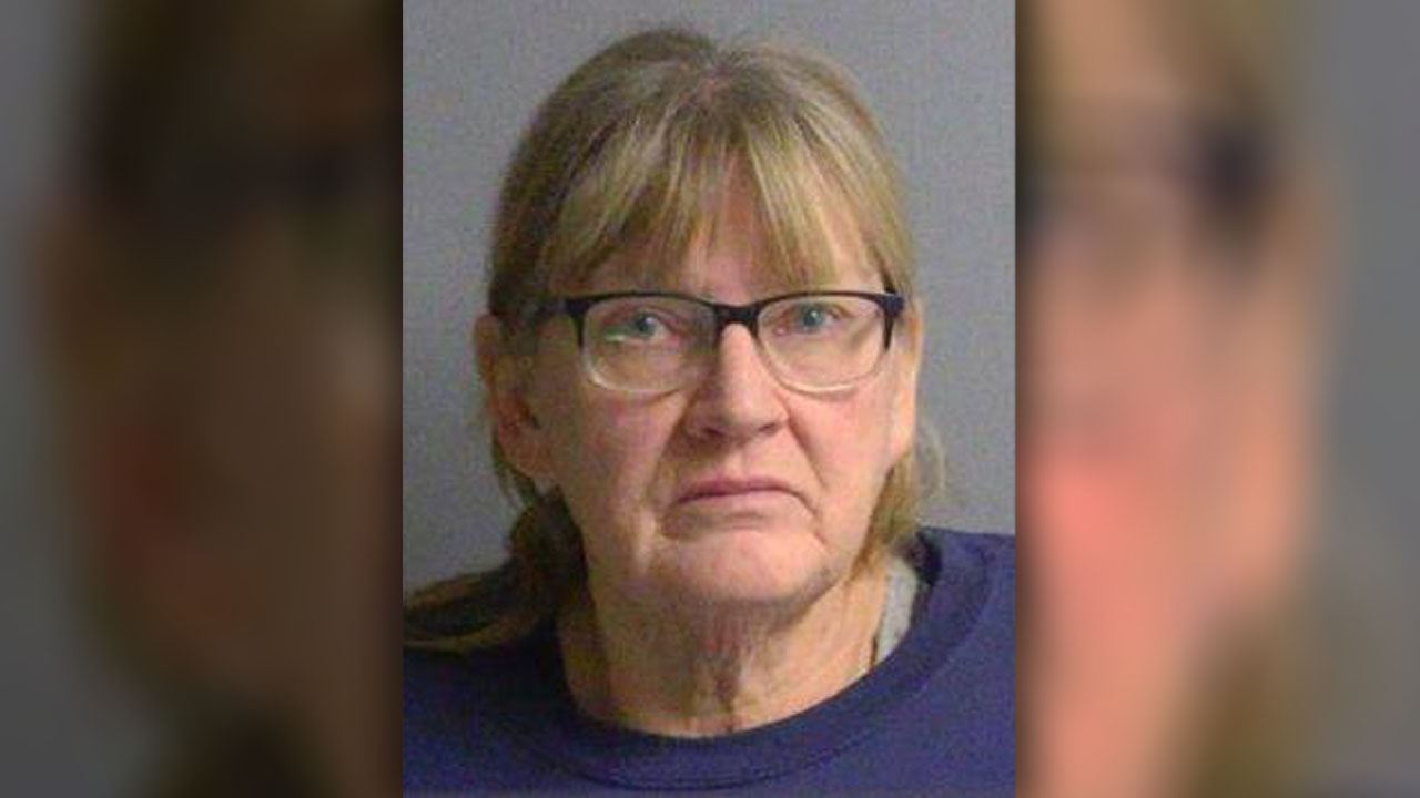 New Theft Charge for Hines Woman Facing Felony Counts of Animal ...