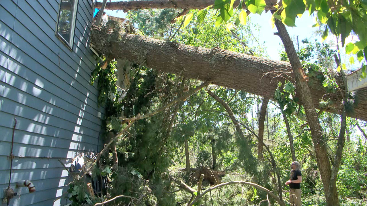 Bemidji June 21 Storm: Tree Falls on House of Family in Lavinia