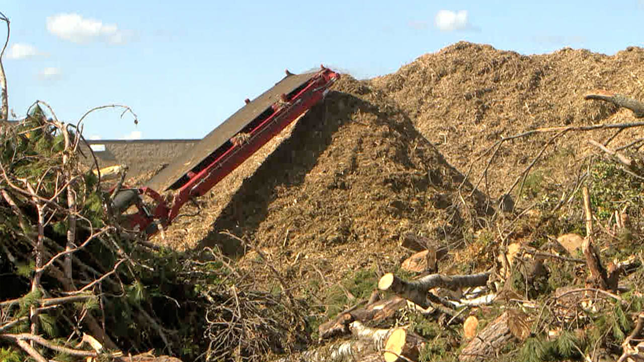 Free Wood Chips Available at Bemidji Target Debris Site Until Aug. 8