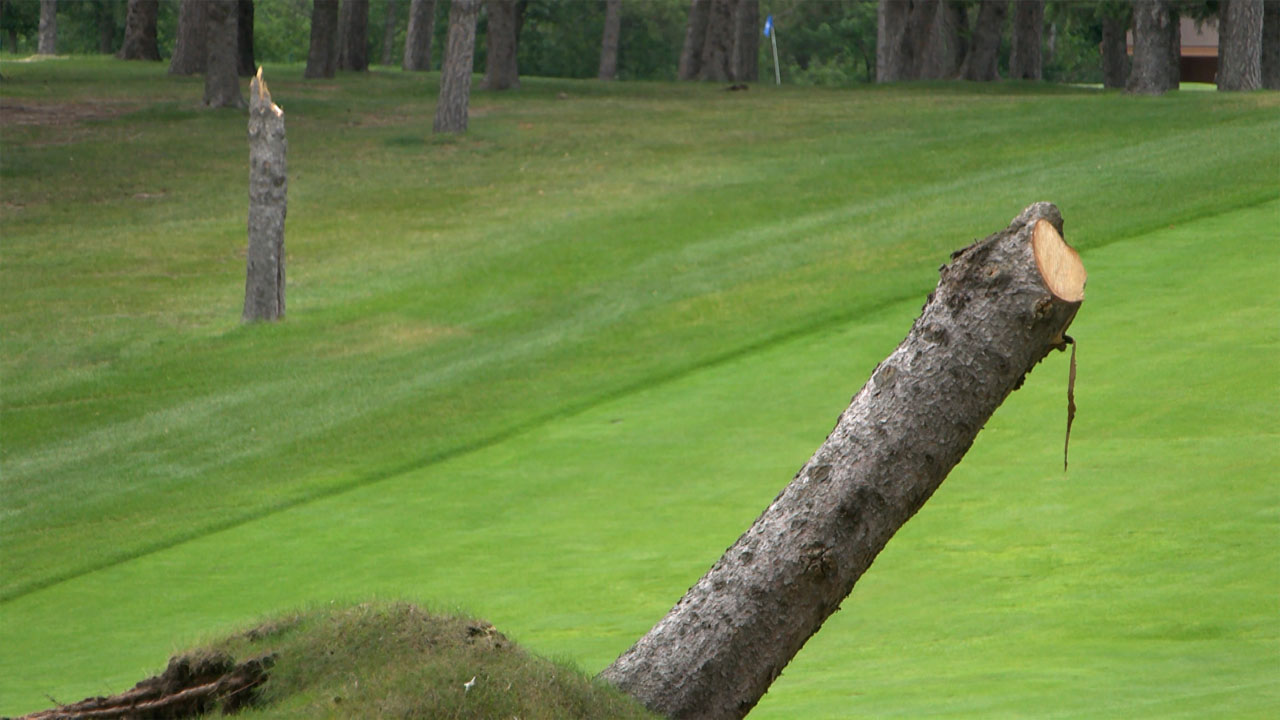 Bemidji Town & Country Club Reopens Golf Course After Clearing 350 ...
