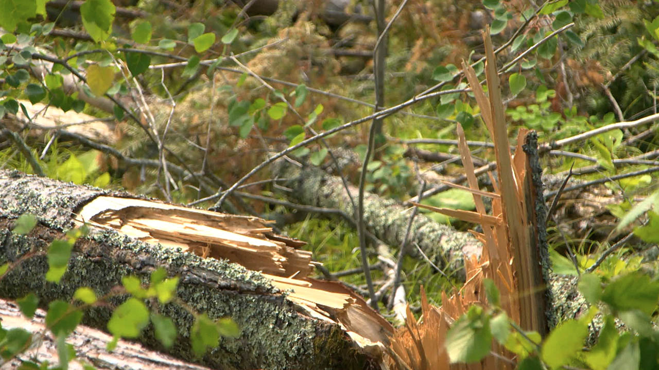 UPDATED: Beltrami County Hit With Severe Storm Damage - Lakeland PBS